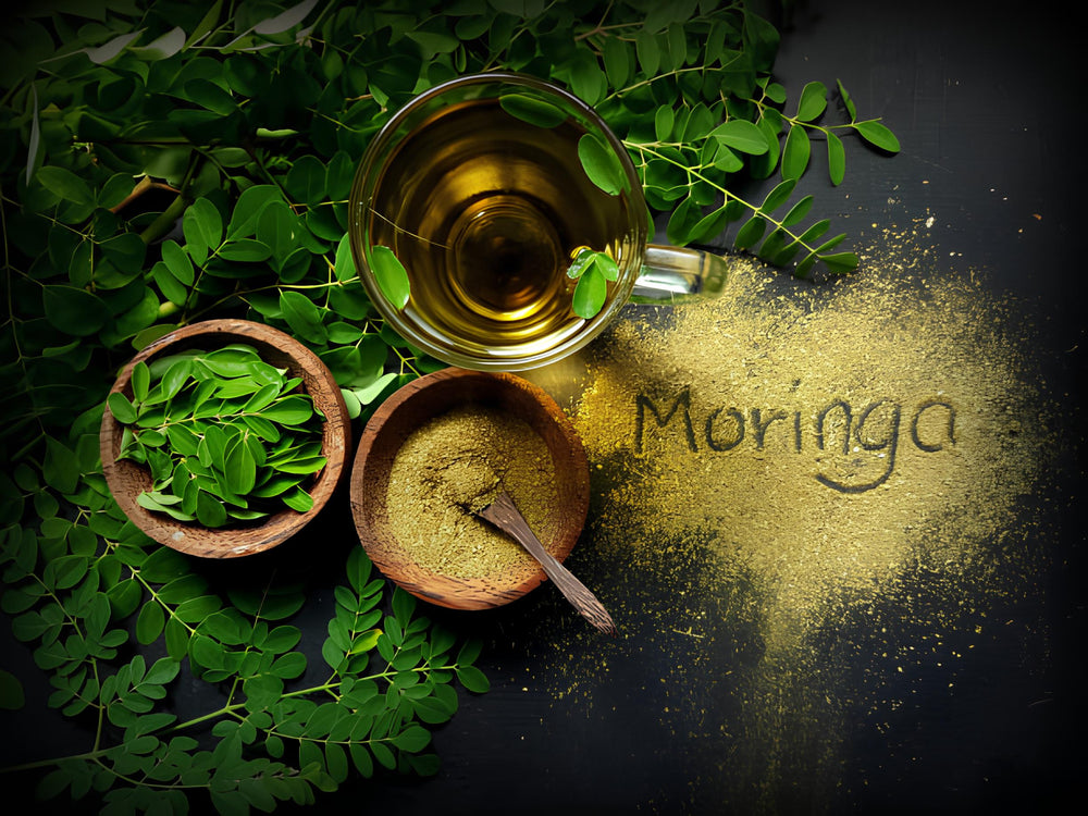 Moringa Utopia | #1 Moringa Supplier in SA